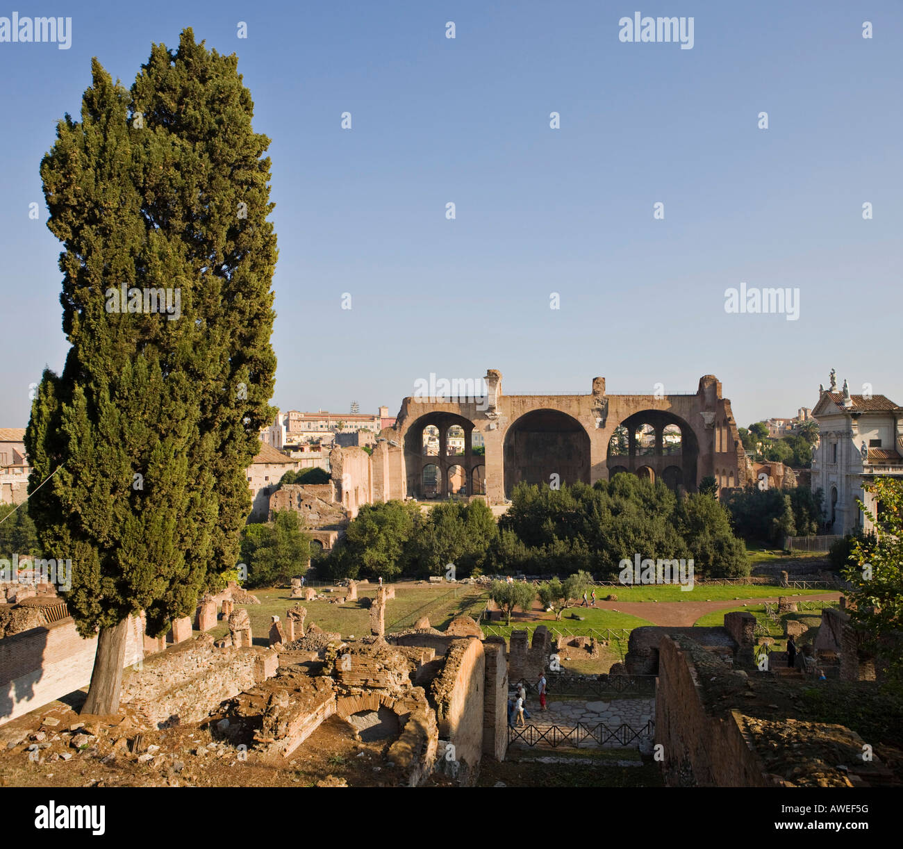 Maxentius basilica hi-res stock photography and images - Alamy