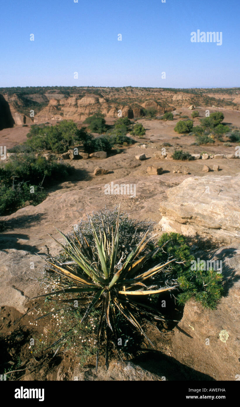 Striking vertical composition hi-res stock photography and images - Alamy