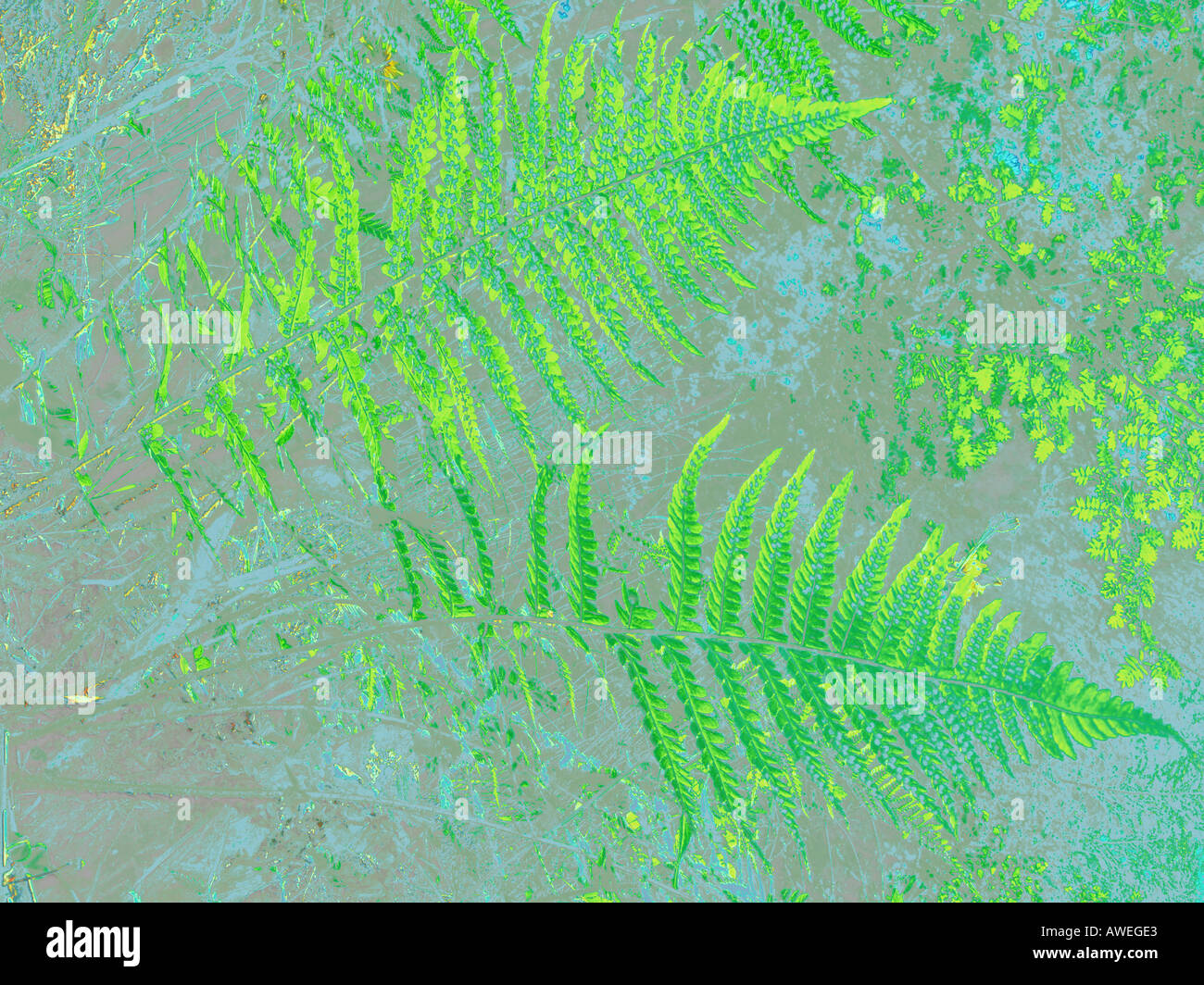 nature plants abstract Stock Photo - Alamy