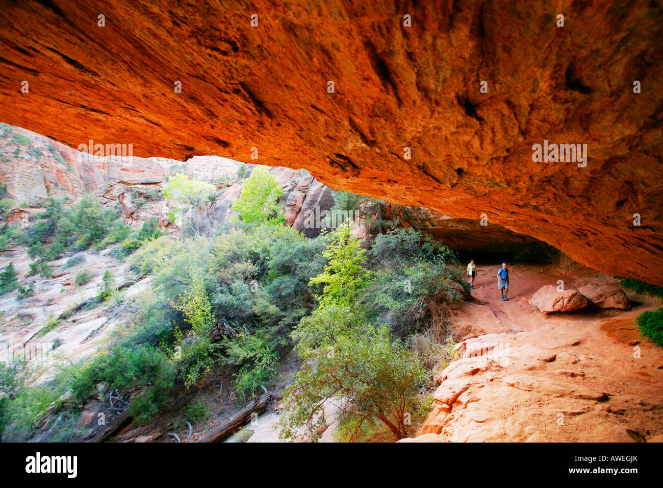 Lower Zion Canyon Overlook Trail, Zion National Park, Utah Stock Photo ...