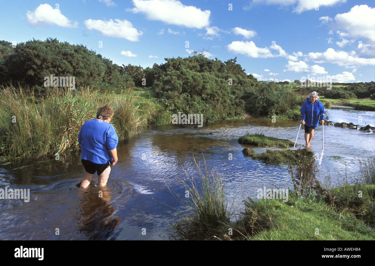 The De Lank River near Bradford on Bodmin Moor Cornwall England Stock ...