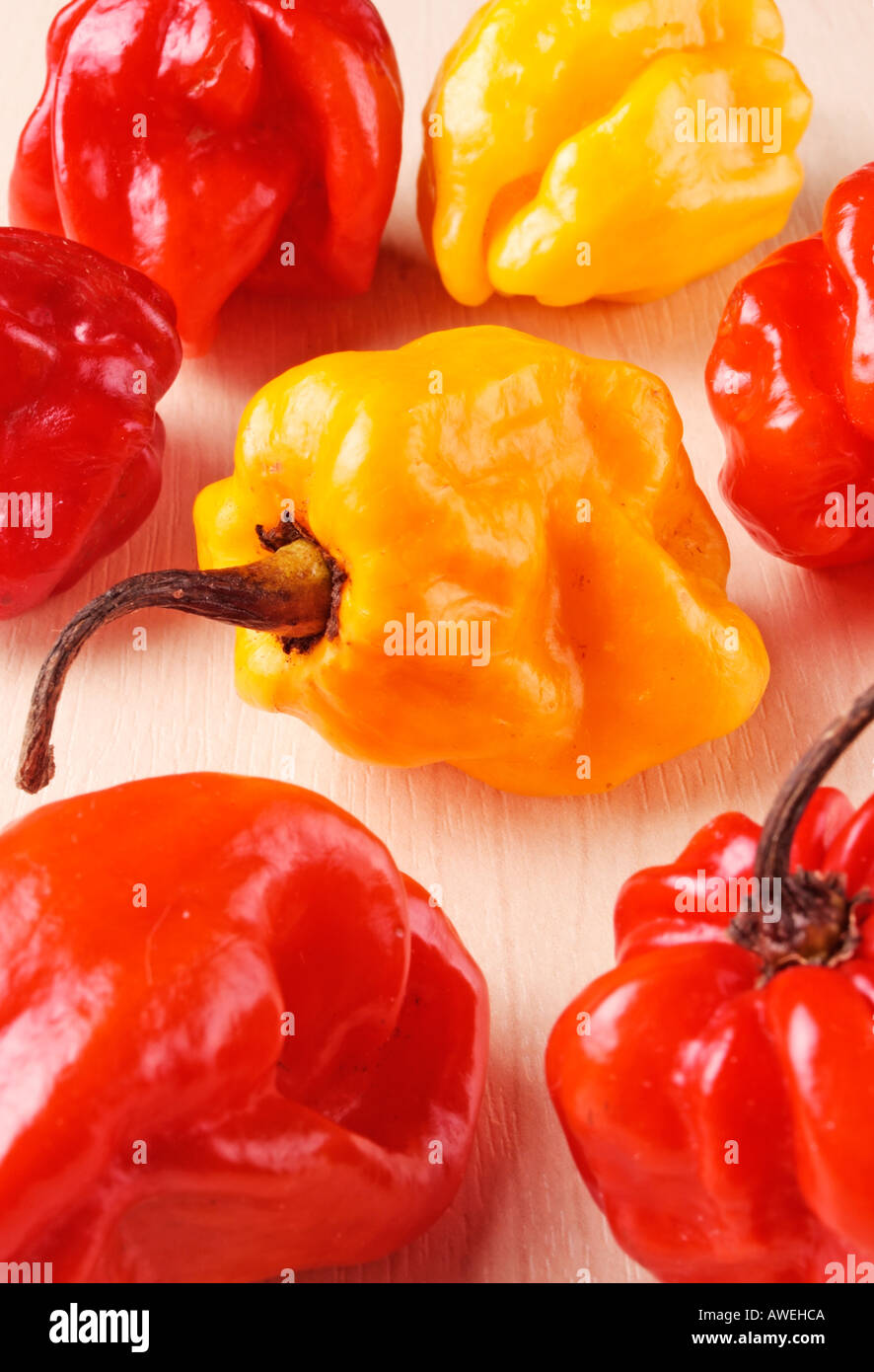 Scotch bonnet hi-res stock photography and images - Alamy
