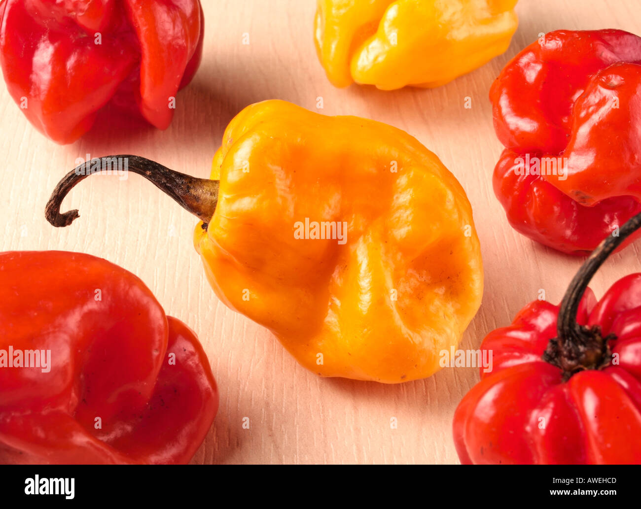 FRESH CHILLI PEPPERS / SCOTCH BONNET CHILLI Stock Photo - Alamy