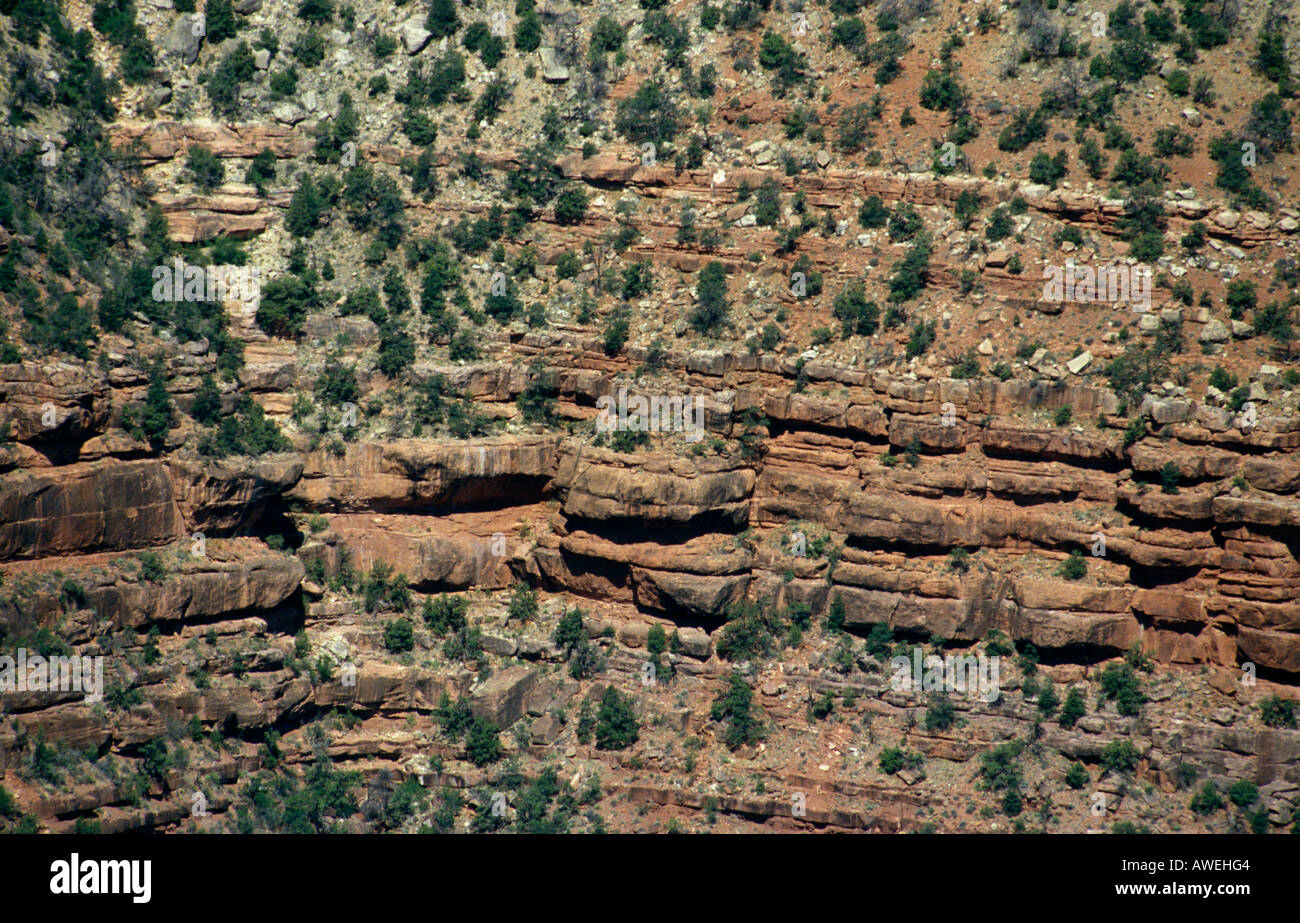 Details of the canyon wall, Grand Canyon, Arizona, USA Stock Photo - Alamy