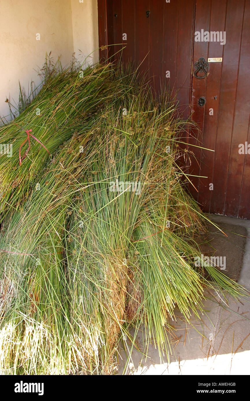 Rushes church hi-res stock photography and images - Alamy