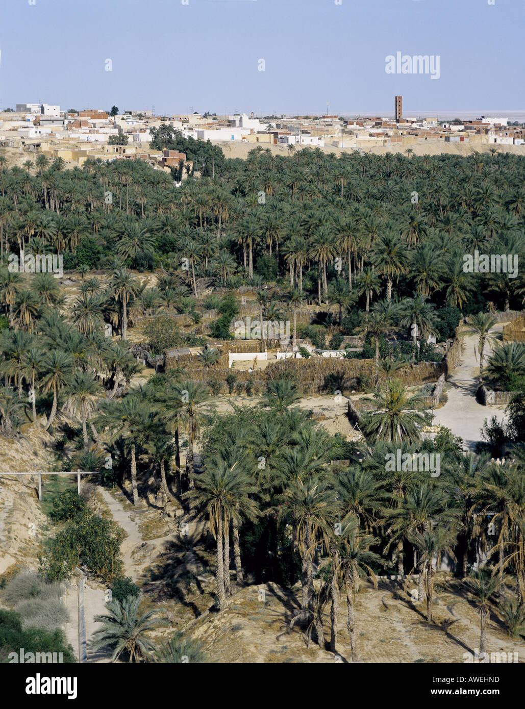 Nefta oasis hi-res stock photography and images - Alamy