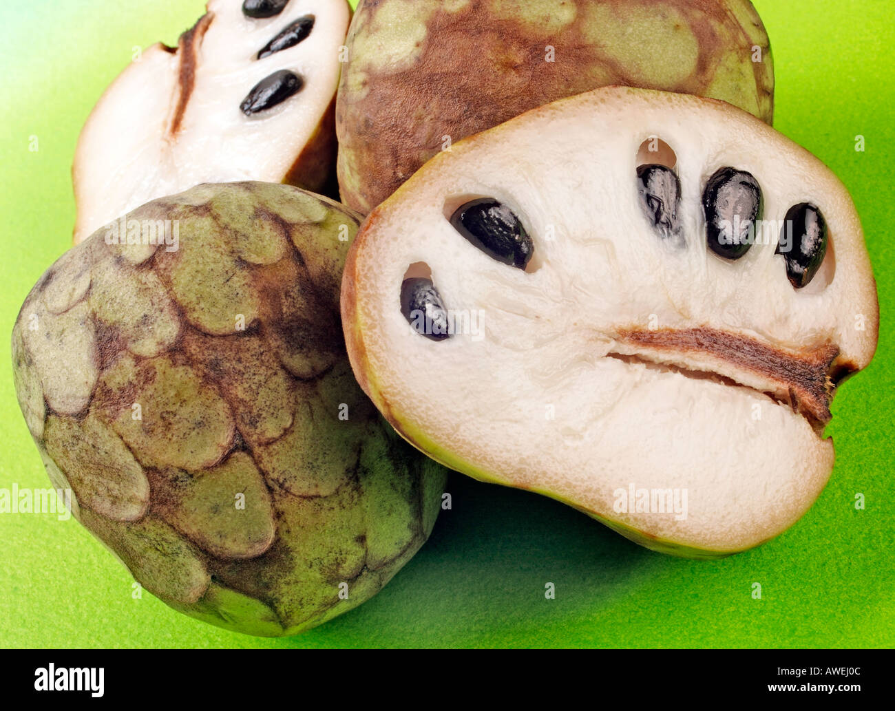 CHERIMOYA / CUSTARD APPLE Stock Photo - Alamy