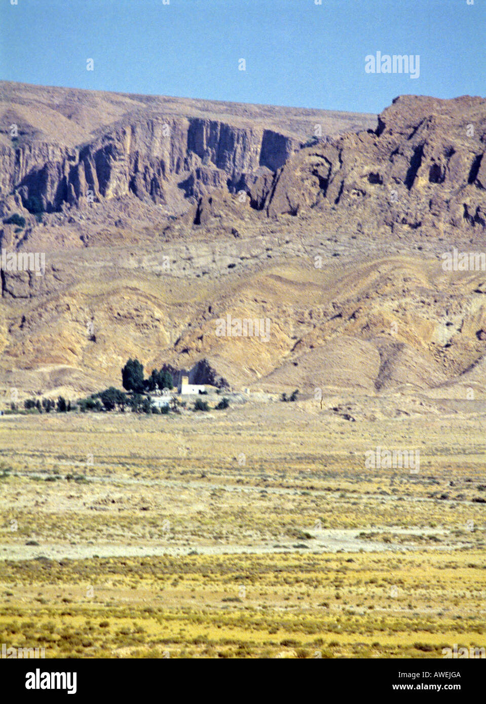 Jerid area hi-res stock photography and images - Alamy