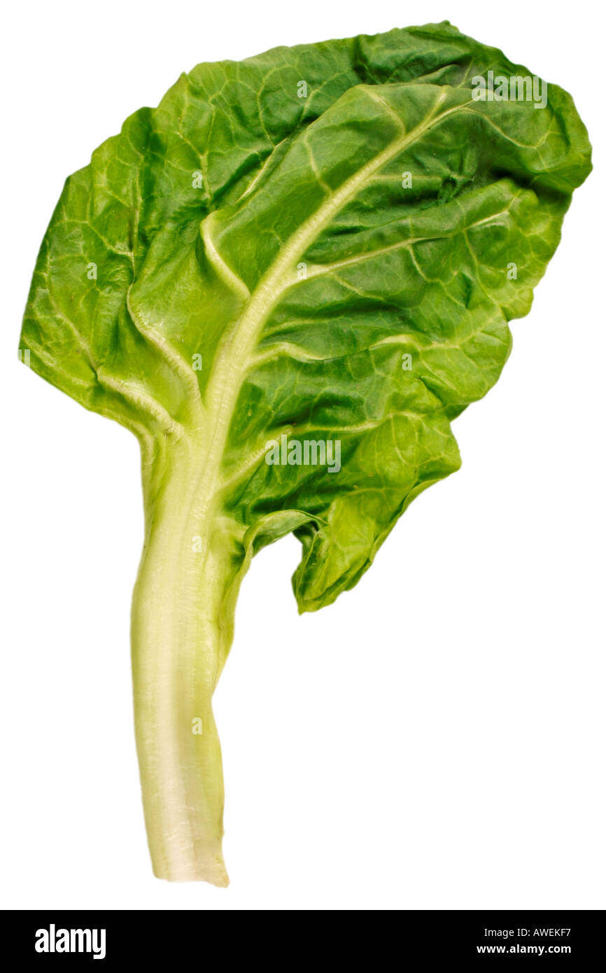 FRESH GREENS CUT OUT Stock Photo - Alamy