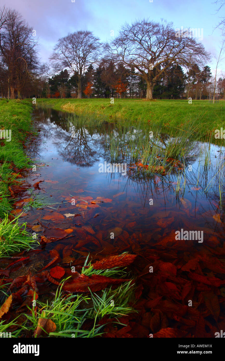 Reflection on water pond in Phoenix Park, Dublin Stock Photo - Alamy