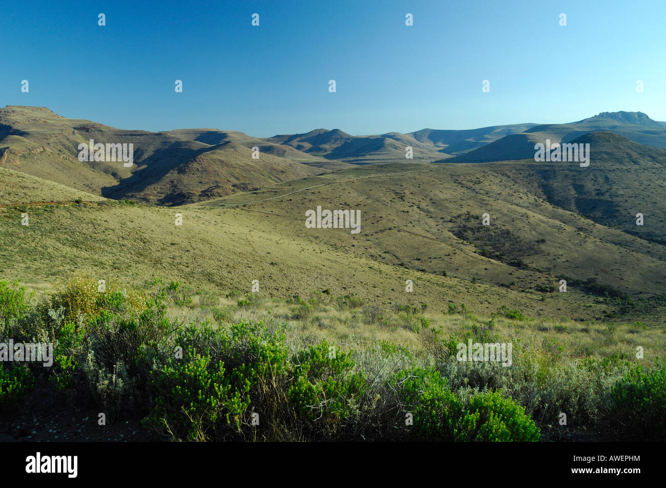 South Africa Karoo Mountain Zebra National Park Stock Photo - Alamy