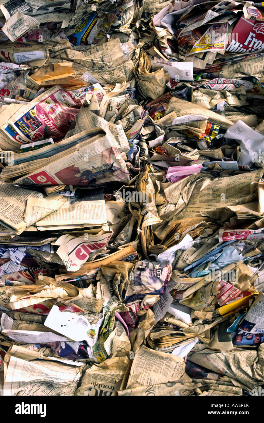 Bundles of paper to be recycled at a collection center Stock Photo - Alamy