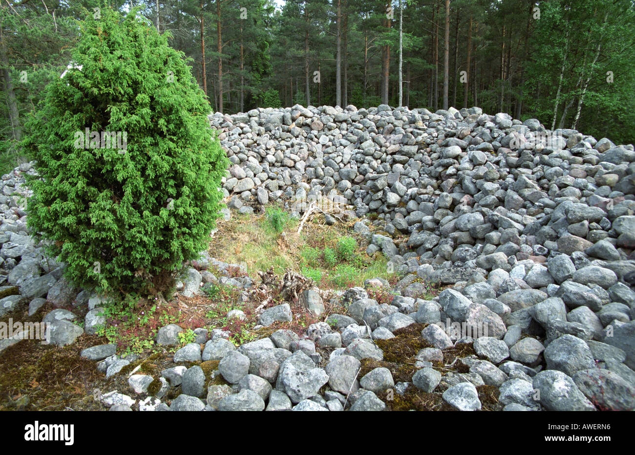 Viking stone gotland hi-res stock photography and images - Alamy