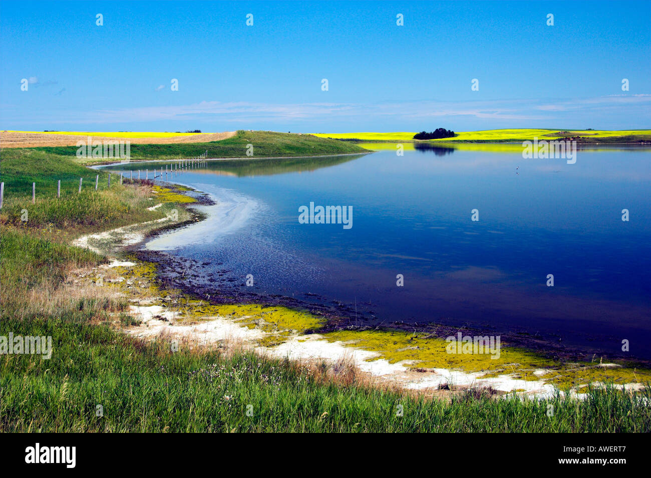 Colorful Saskatchewan Canadian prairie scenes of lakes blooming canola ...