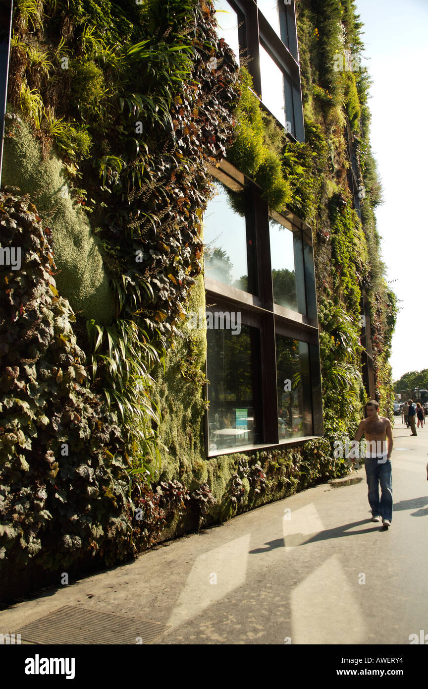 Patrick blanc living wall hi-res stock photography and images - Alamy