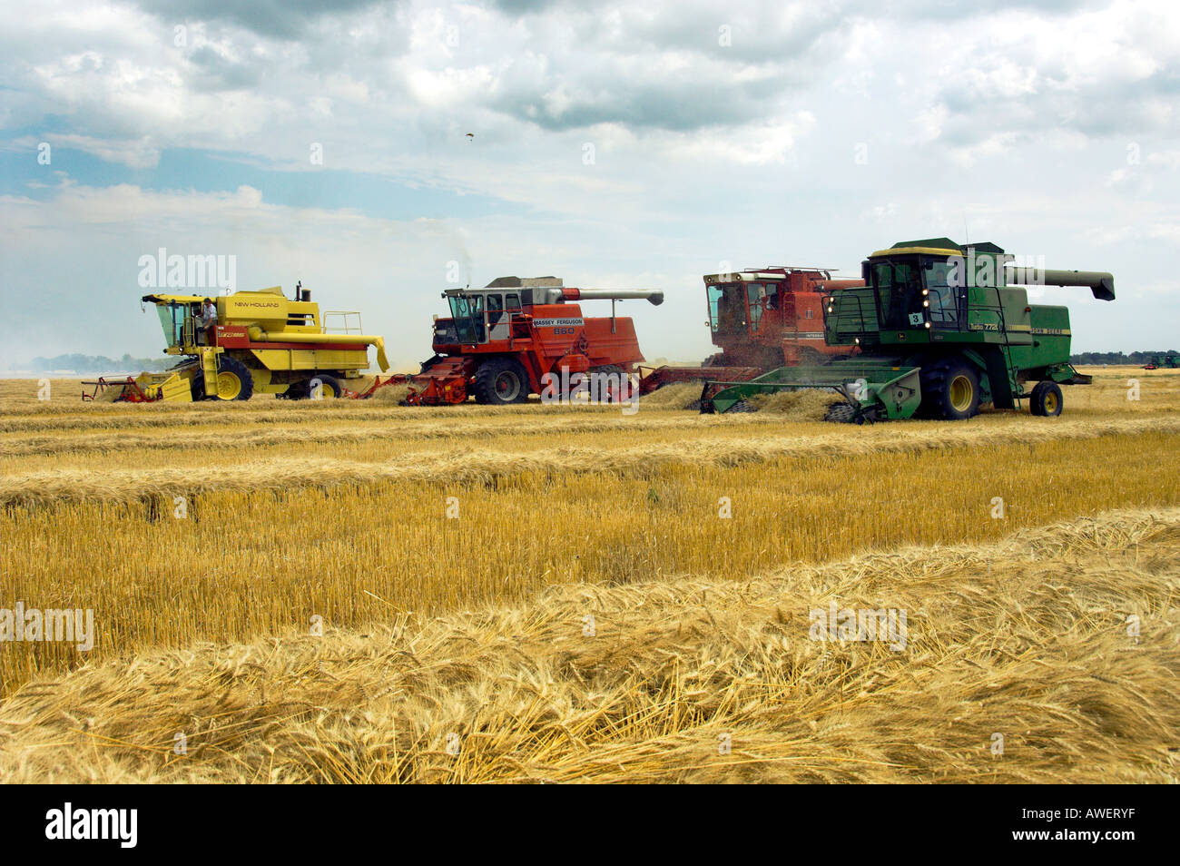Multiple grain harvesting combines at the World Harvest for Kids event ...