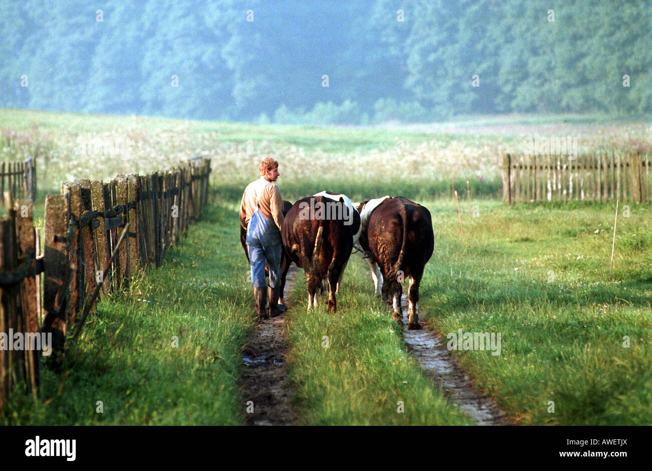 Man farmer farming lead hi-res stock photography and images - Alamy