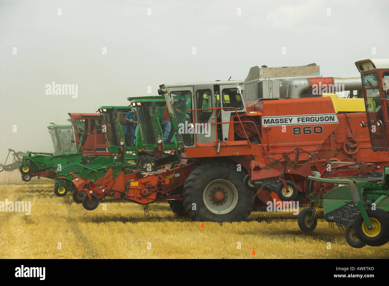Multiple grain harvesting combines at the World Harvest for Kids event ...