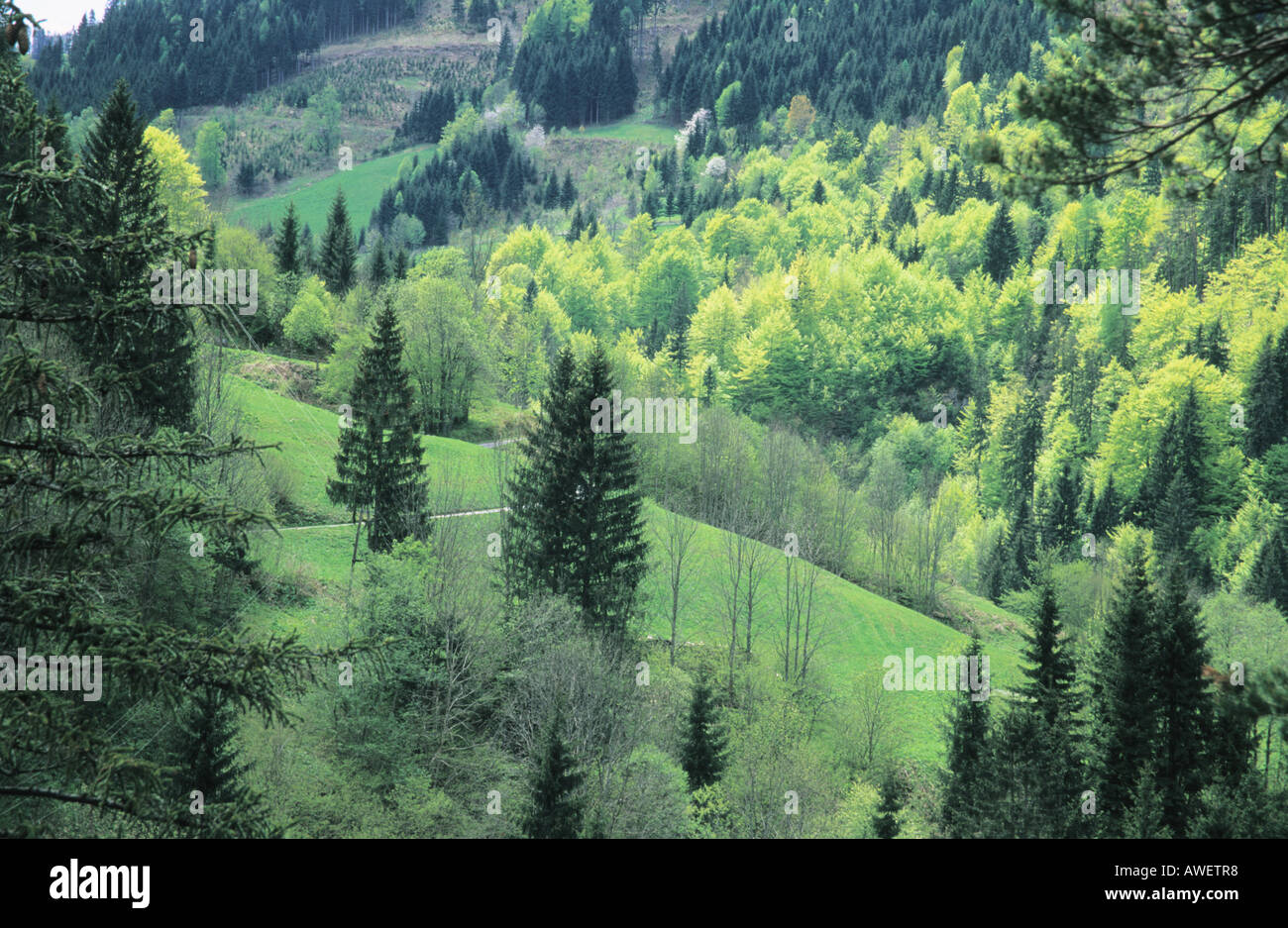 Carinthian alps hi-res stock photography and images - Alamy