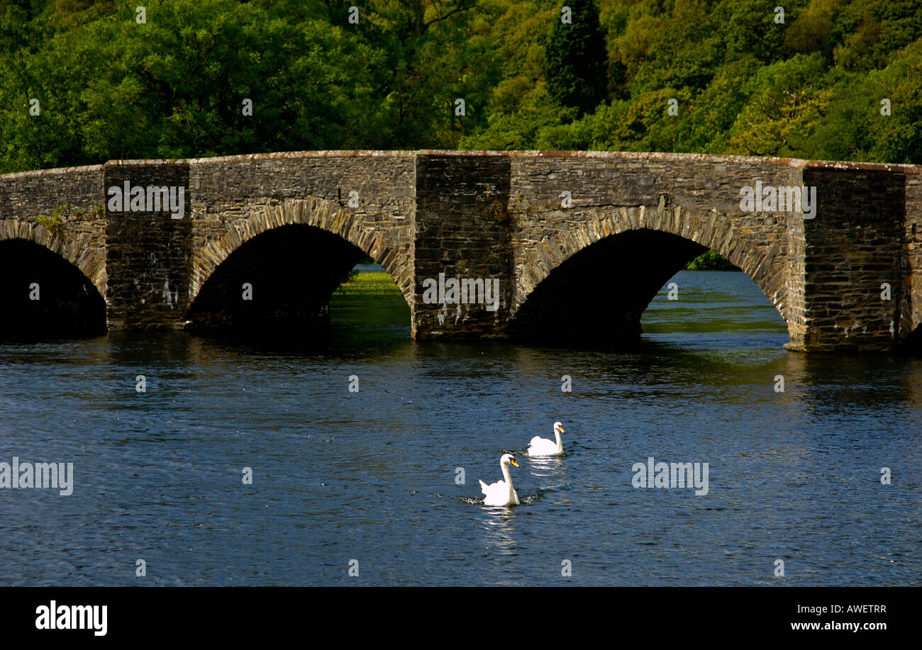 The swan newby bridge cumbria hi-res stock photography and images - Alamy