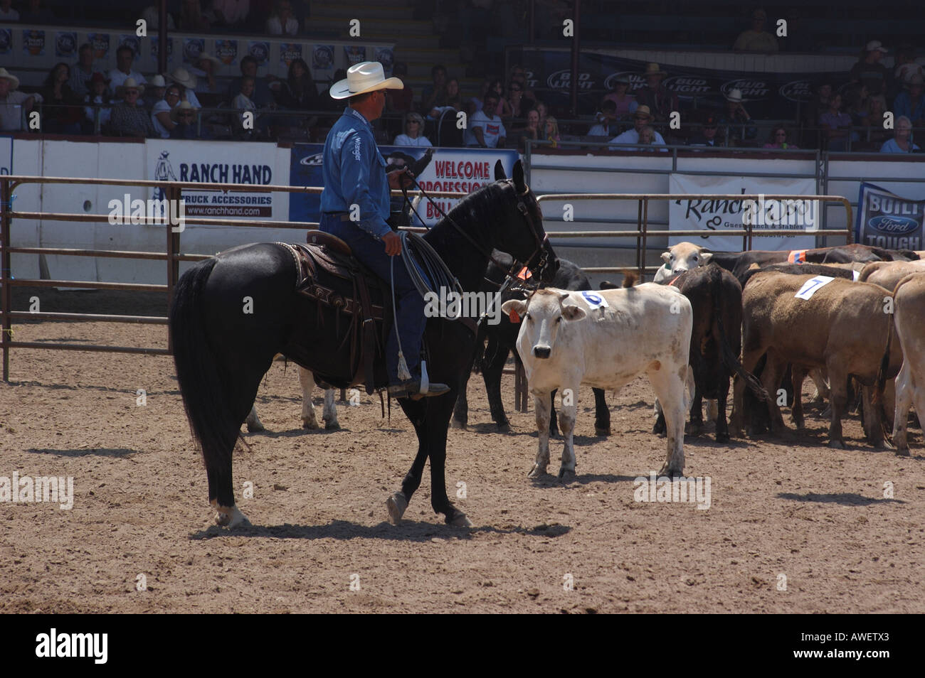 The rodeo hi-res stock photography and images - Alamy