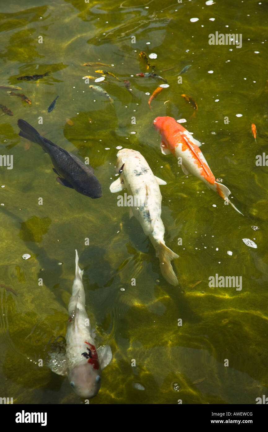 Merriott hi-res stock photography and images - Alamy