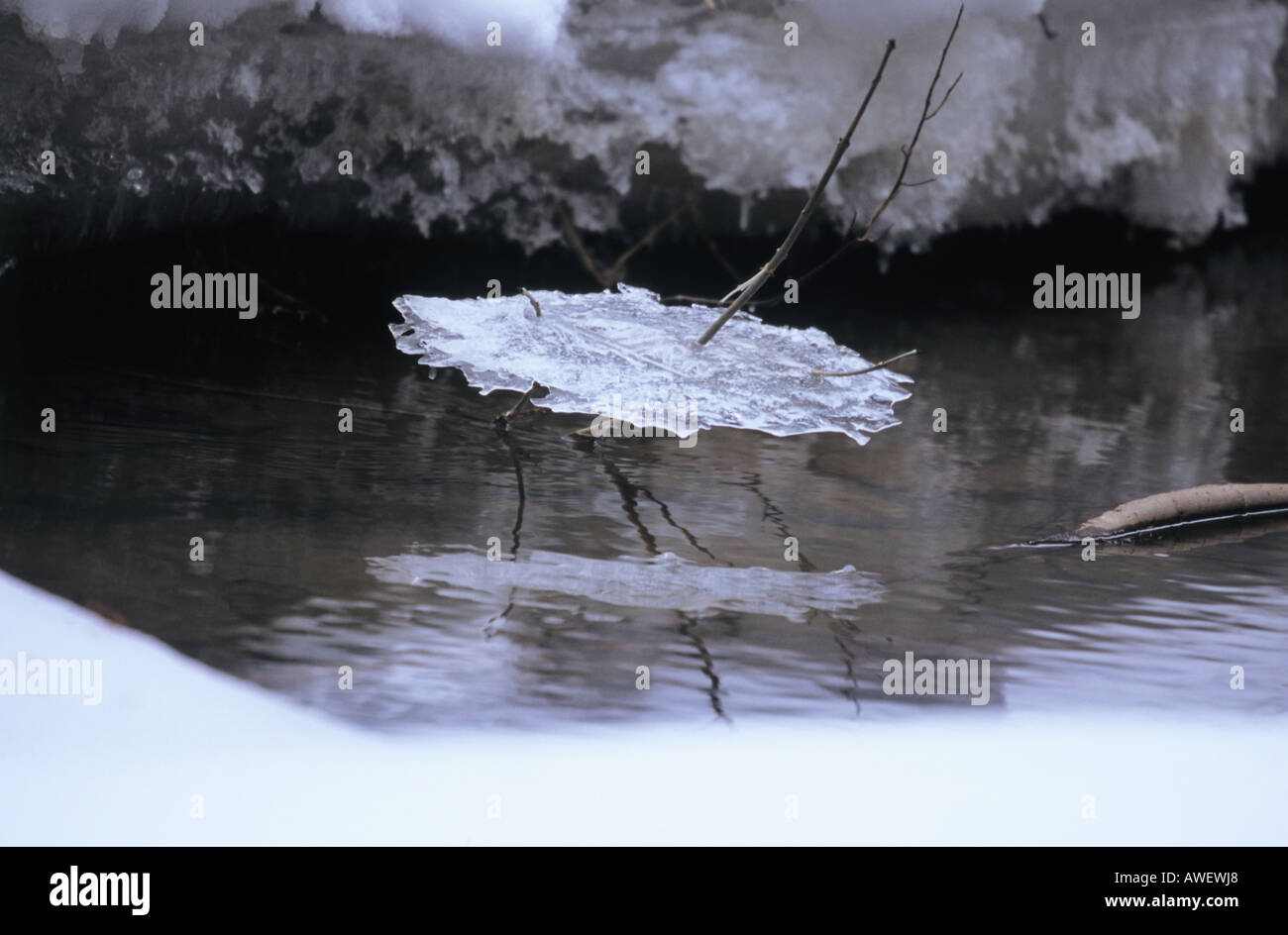 Cold icy rivers hi-res stock photography and images - Alamy