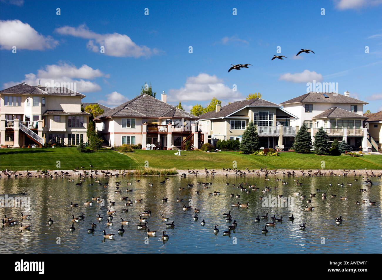 Urban migration hi-res stock photography and images - Alamy