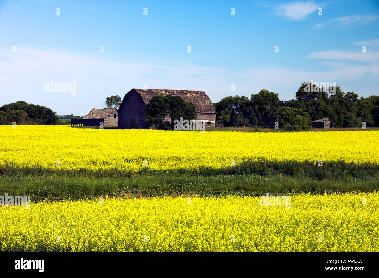 Field patterns hi-res stock photography and images - Alamy