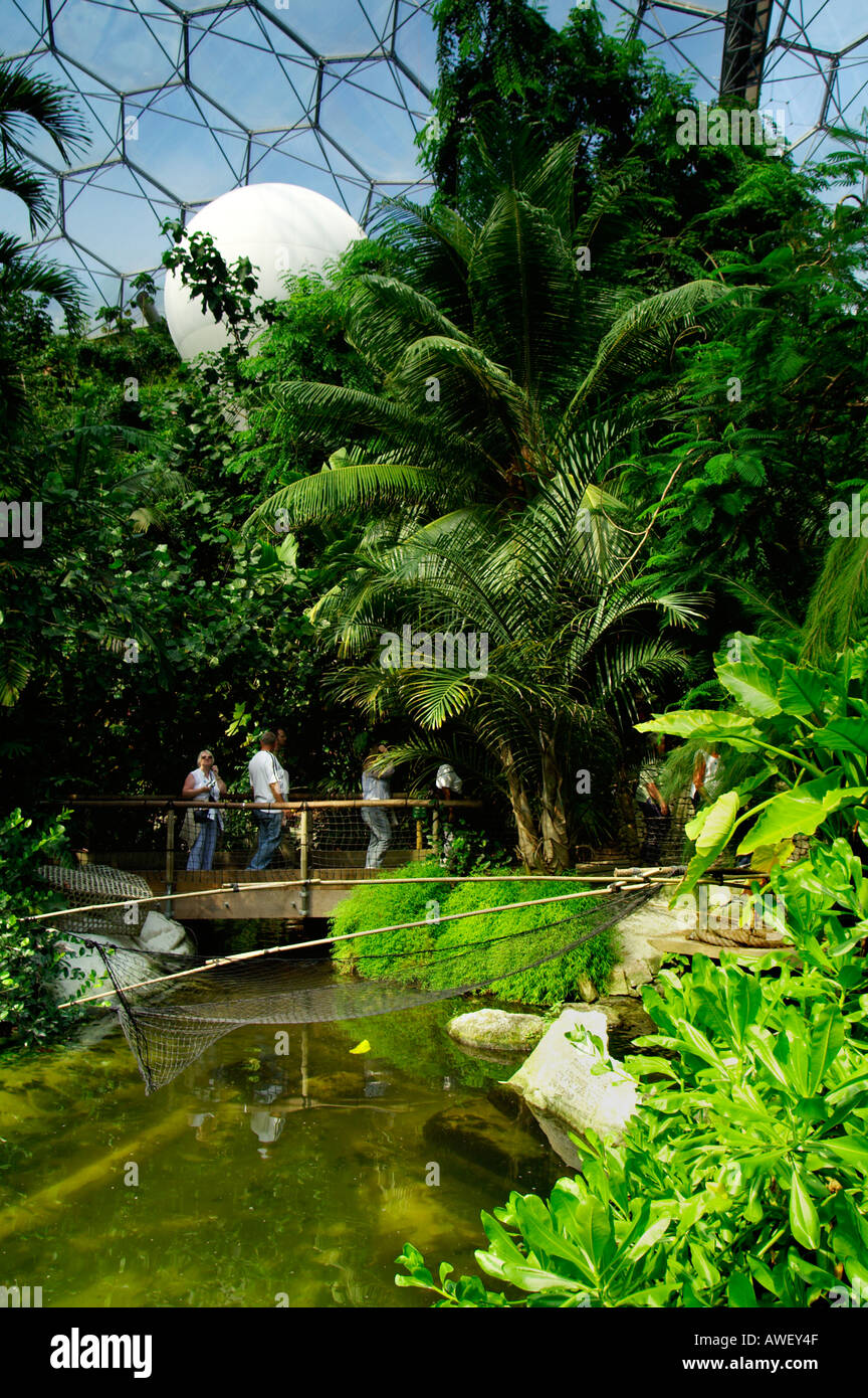 Humid Tropical biome at the Eden project Cornwall summer 2005 Stock ...