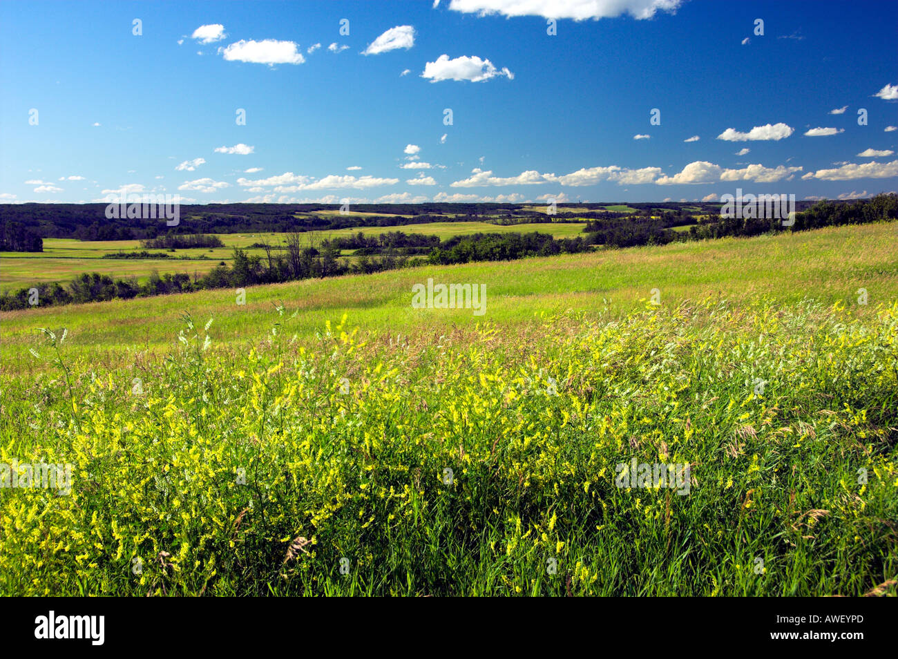 Saskatchewn hi-res stock photography and images - Alamy