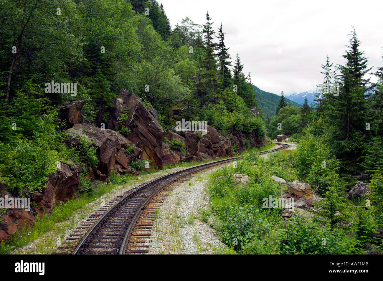 The railway tracks of the White Pass and Yukon Railway excursion train ...
