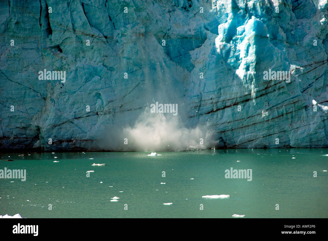 The Margerie Glacier calving in Tarr inlet in Glacier Bay National Par ...