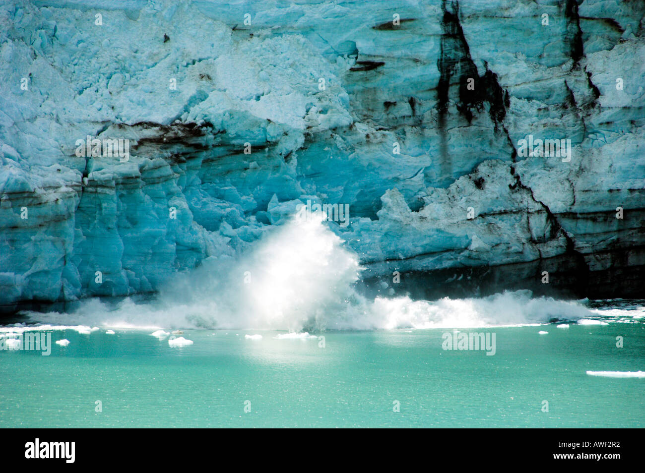The Margerie Glacier calving in Tarr inlet in Glacier Bay National Par ...