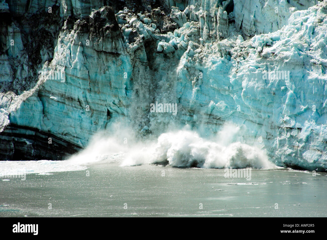 The Margerie Glacier calving in Tarr inlet in Glacier Bay National Par ...