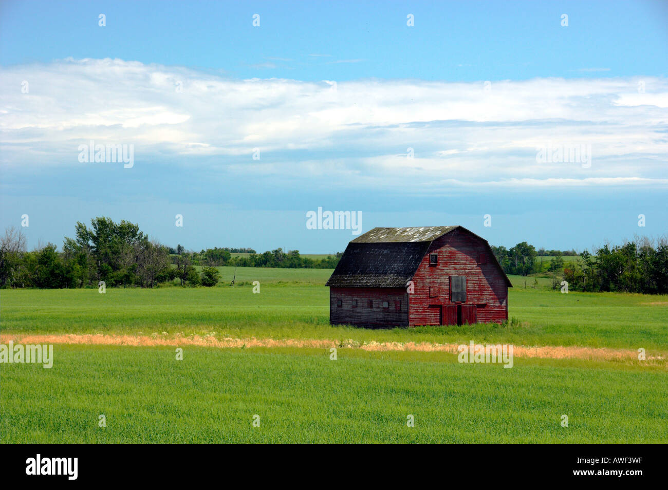 Canada prairies grassland hi-res stock photography and images - Alamy
