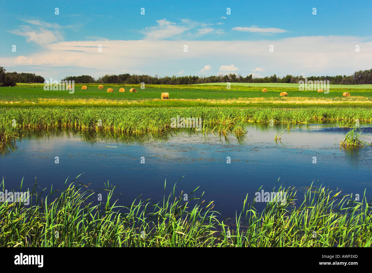 Colorful Saskatchewan Canadian prairie scenes of lakes blooming canola ...