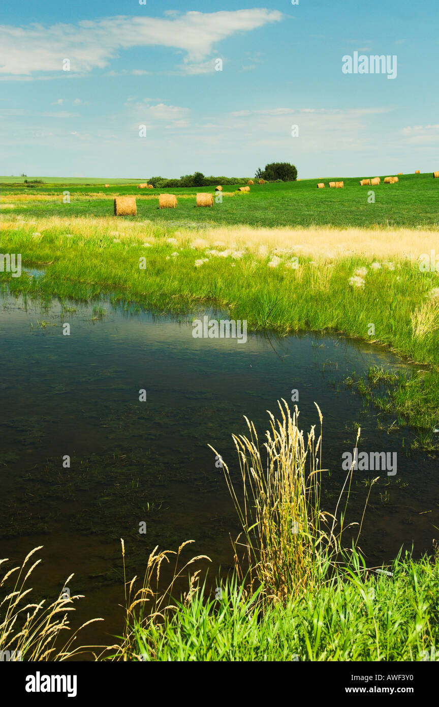 Colorful Saskatchewan Canadian prairie scenes of lakes blooming canola ...