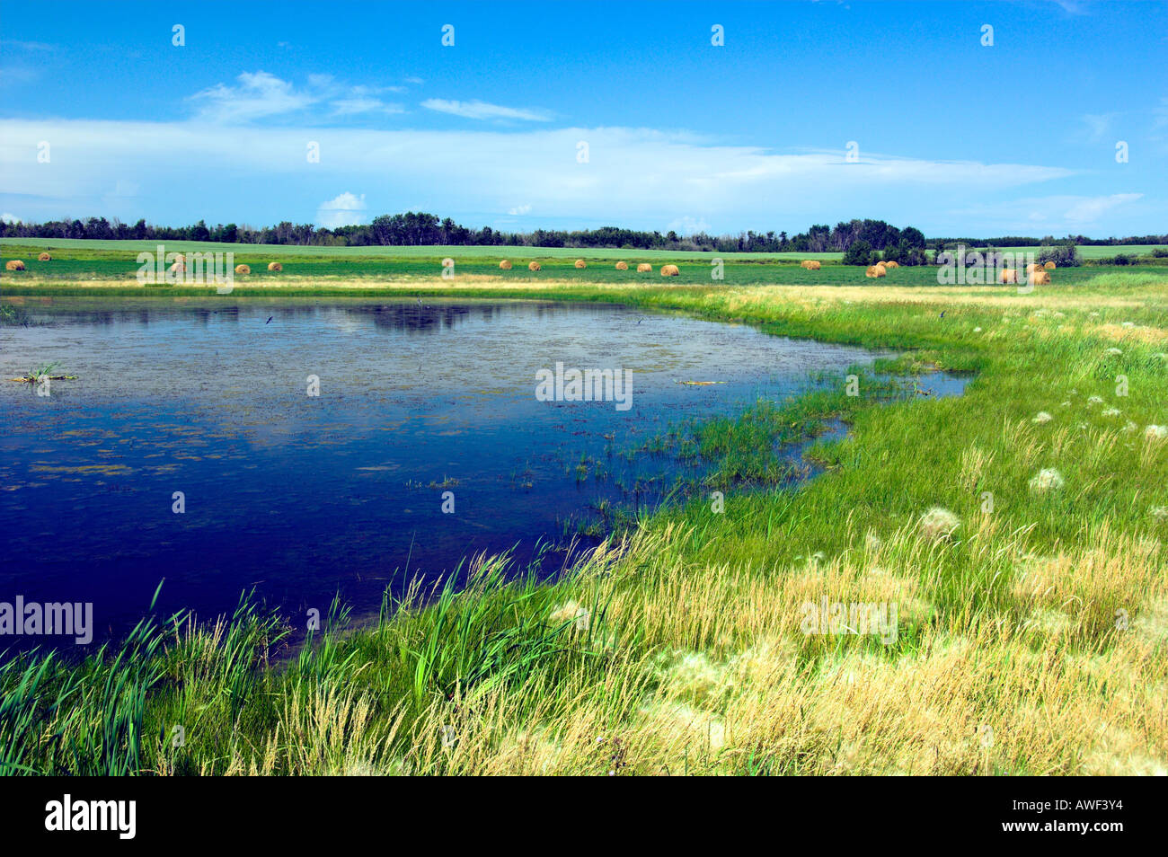 Colorful Saskatchewan Canadian prairie scenes of lakes blooming canola ...
