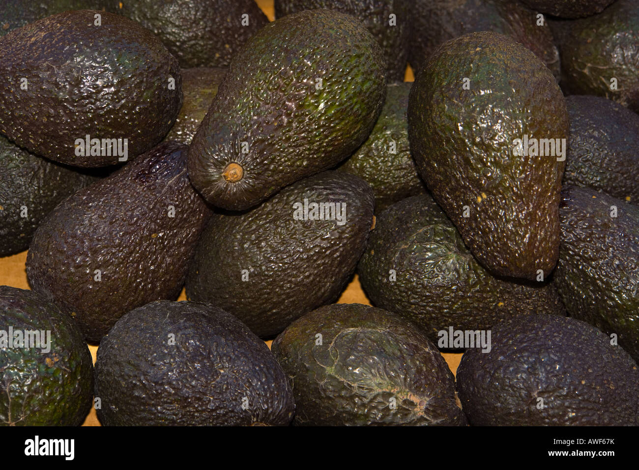 Avocado details hi-res stock photography and images - Alamy