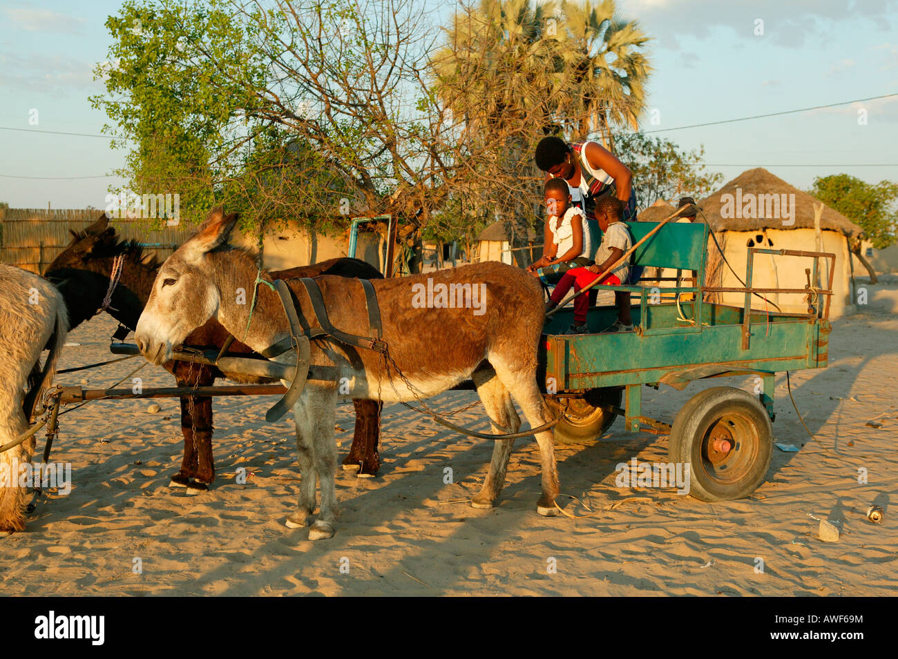 Donkey cart, Sehitwa, Botswana, Africa Stock Photo - Alamy