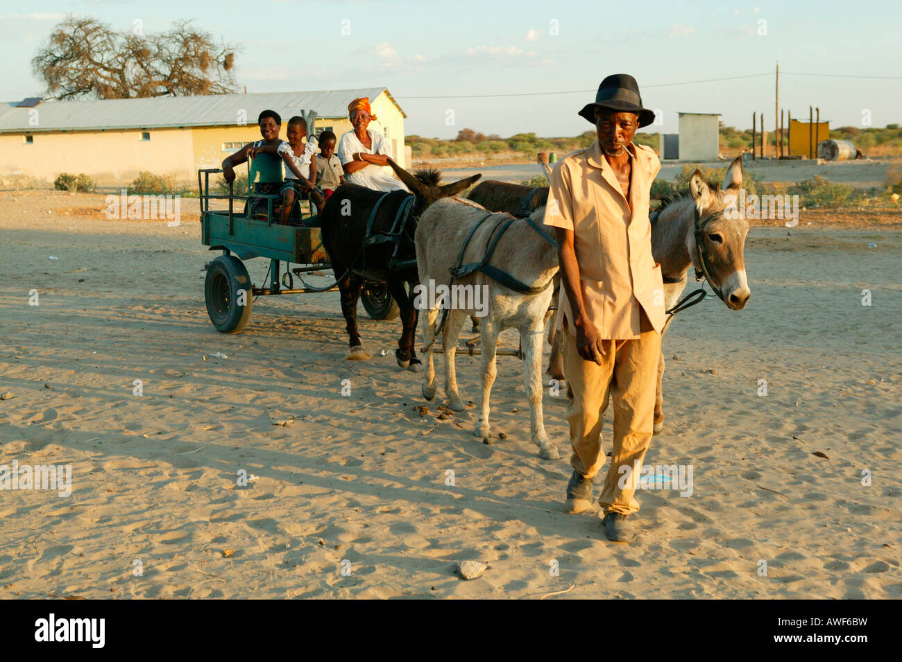 On the donkey cart, Sehitwa, Botswana, Africa Stock Photo - Alamy