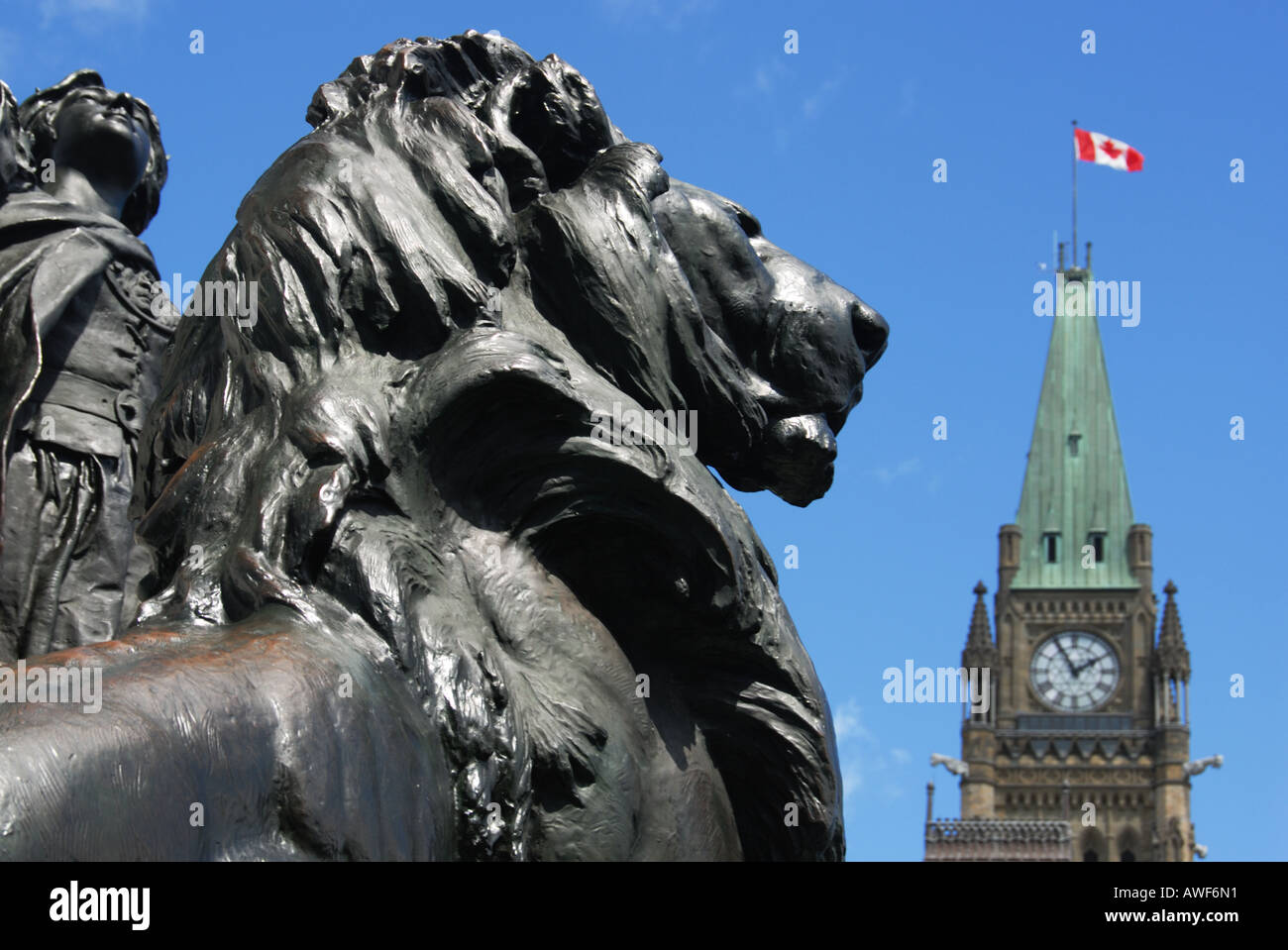 The lion and The Tower Stock Photo - Alamy
