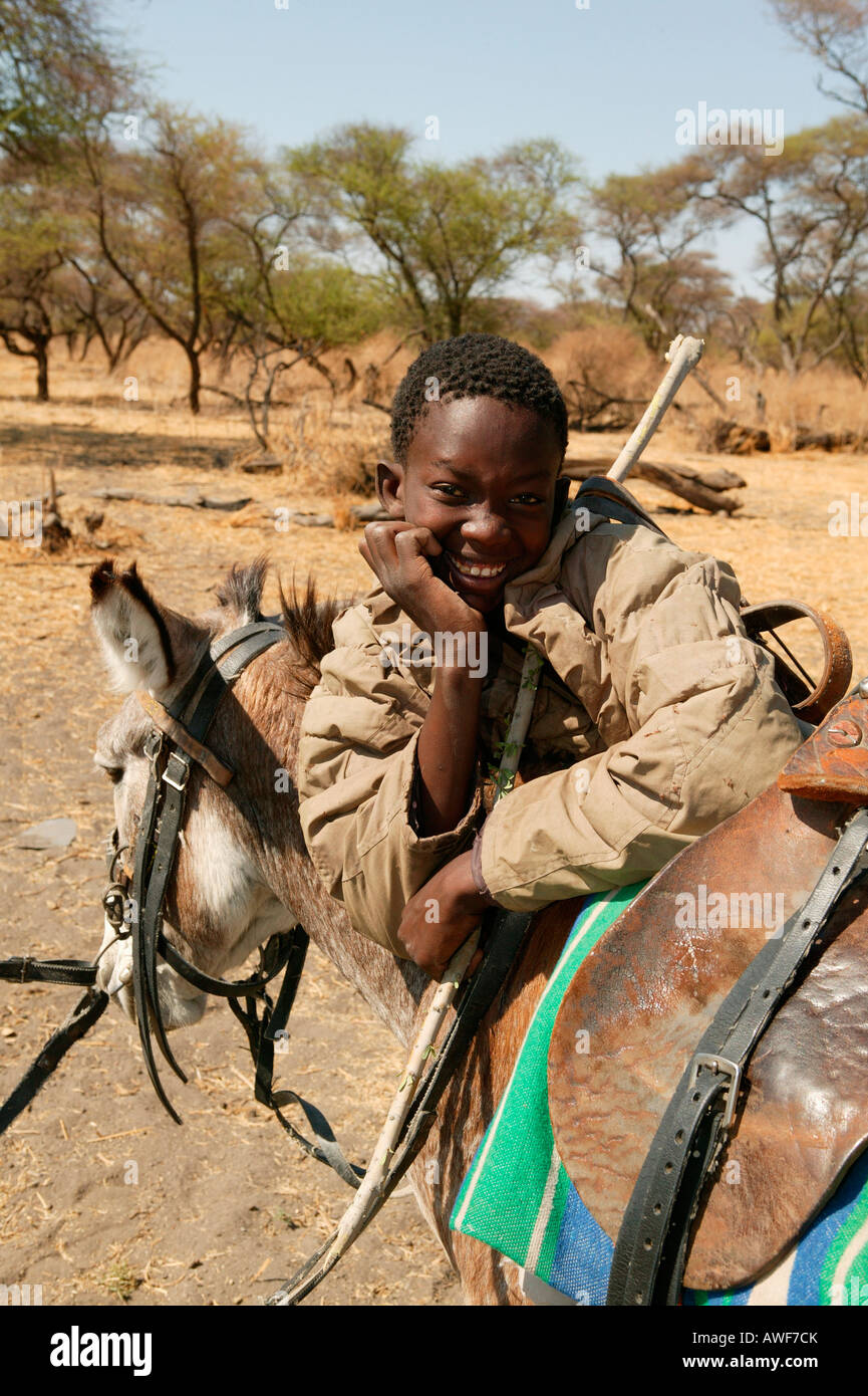 Boy riding on donkey, Cattlepost Bothatoga, Botswana, Africa Stock ...