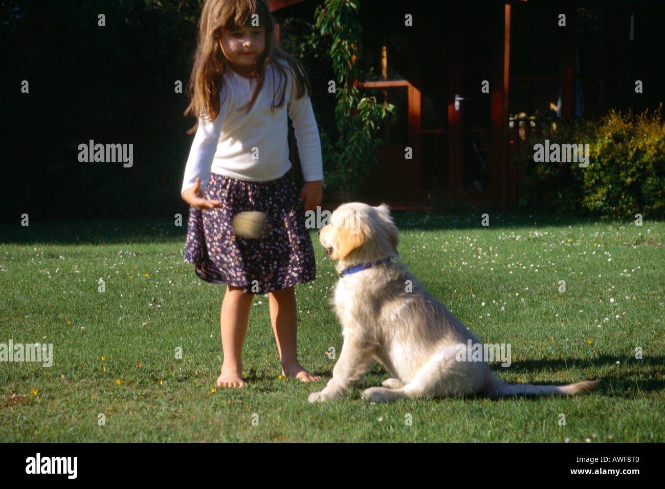 Child throwing ball to dog hi-res stock photography and images - Alamy