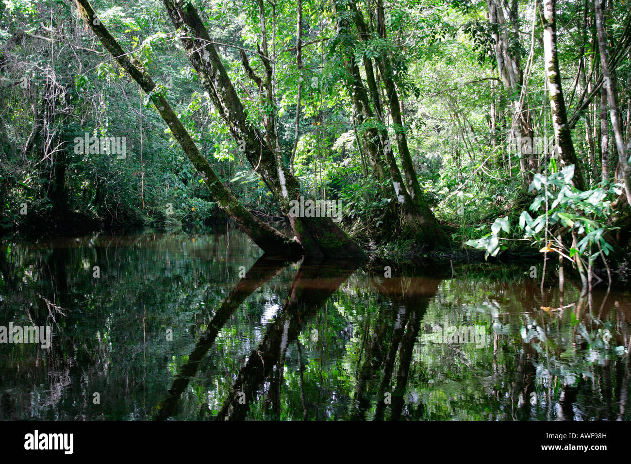 Riverside wasserspiegelung hi-res stock photography and images - Alamy