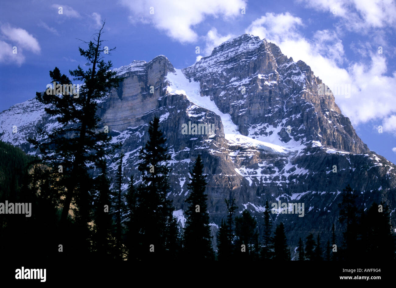 Mount Stephen in the Canadian Rockies Stock Photo - Alamy
