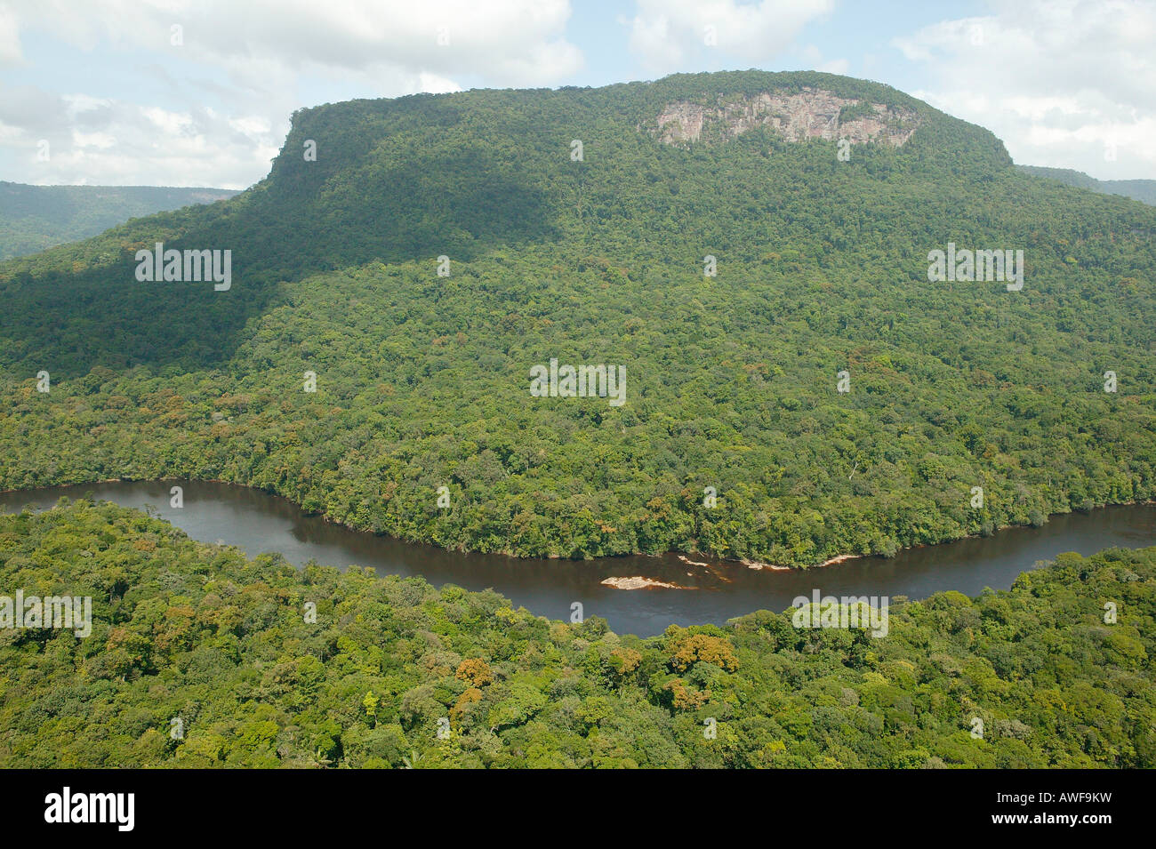 Aerial view of rainforest, Guyana, South America Stock Photo - Alamy