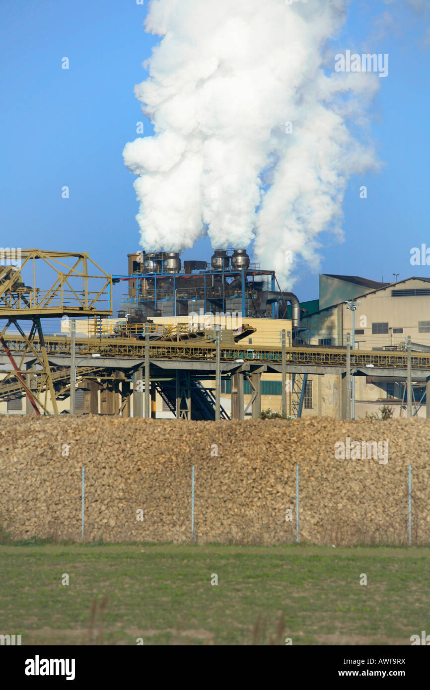 Sugar refinery beets hi-res stock photography and images - Alamy