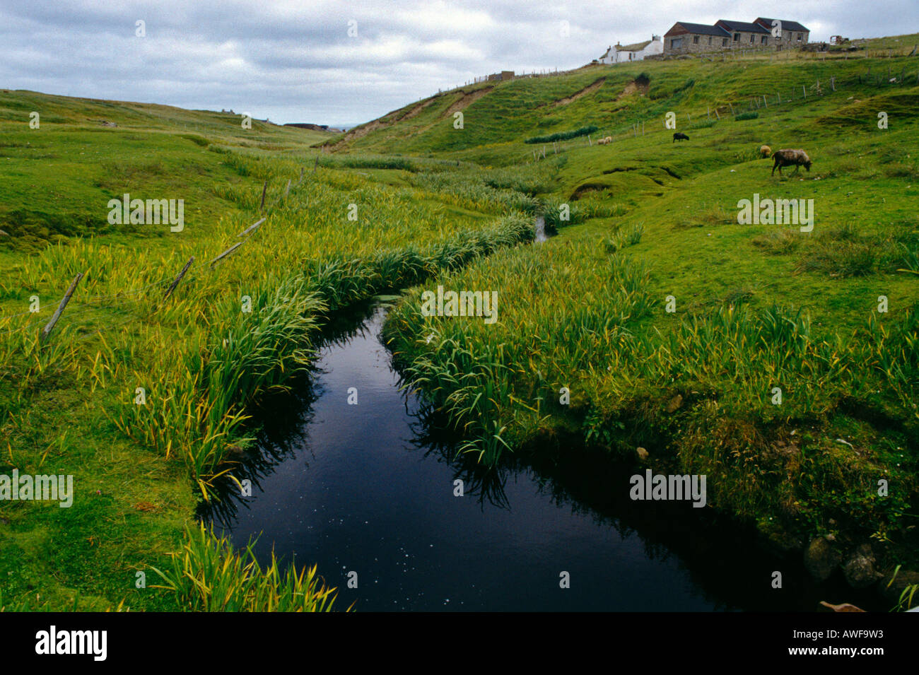Burn ham hi-res stock photography and images - Alamy